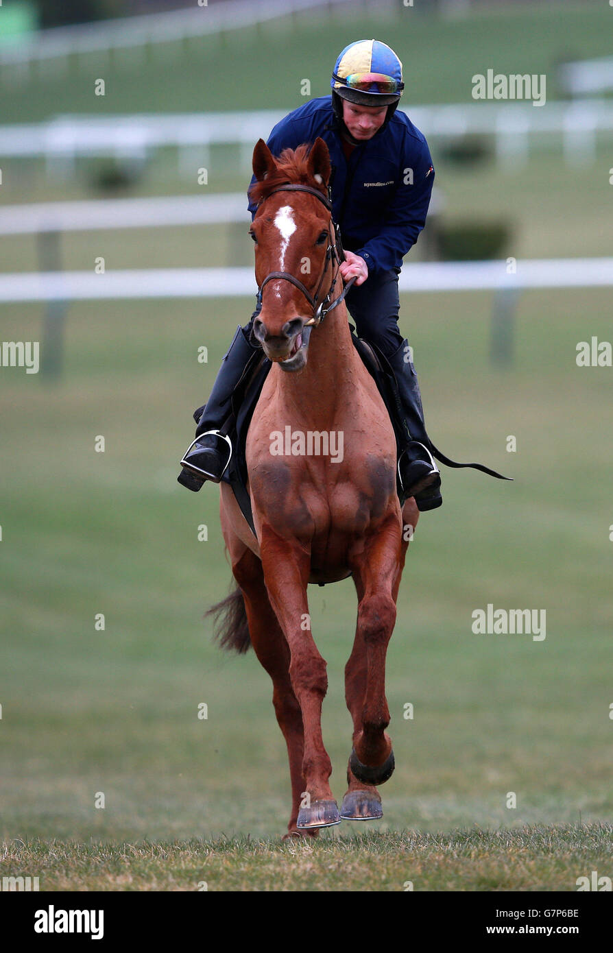 Annie power on the gallops at cheltenham racecourse hi-res stock ...