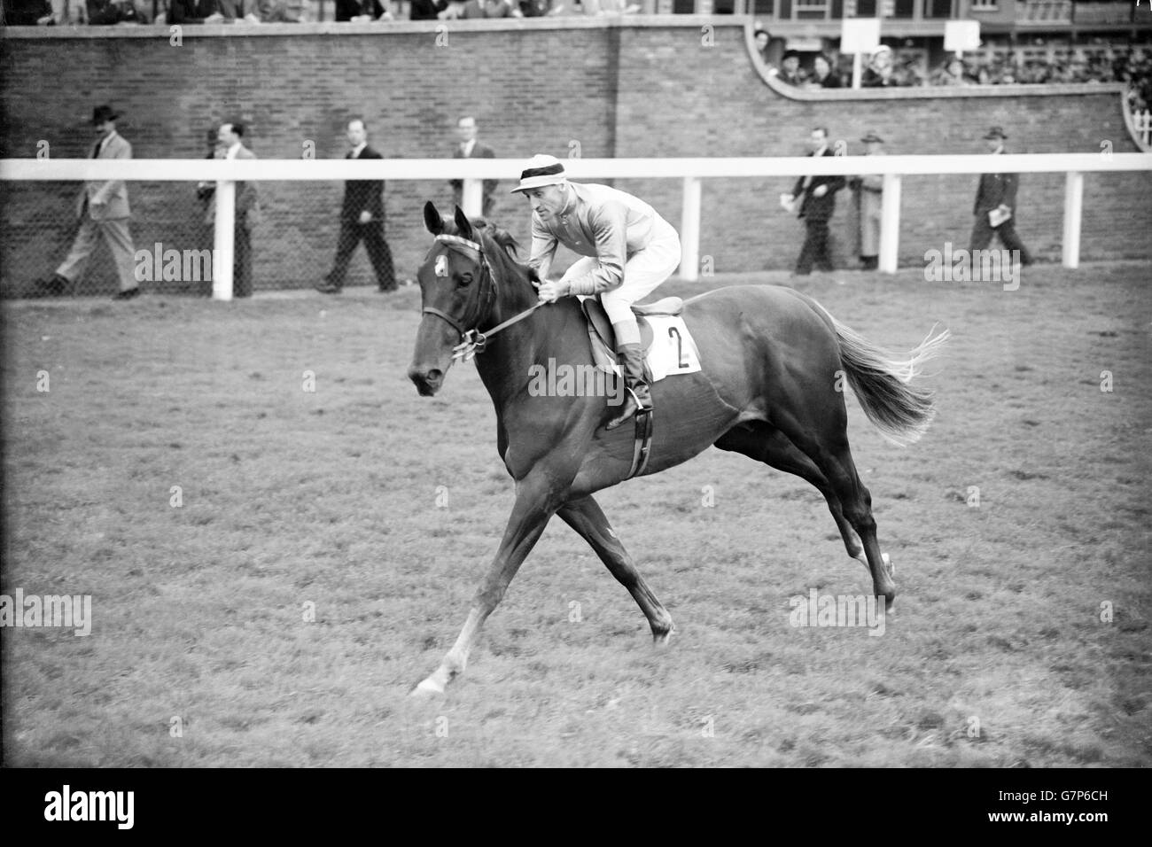 Chamier High Resolution Stock Photography and Images - Alamy