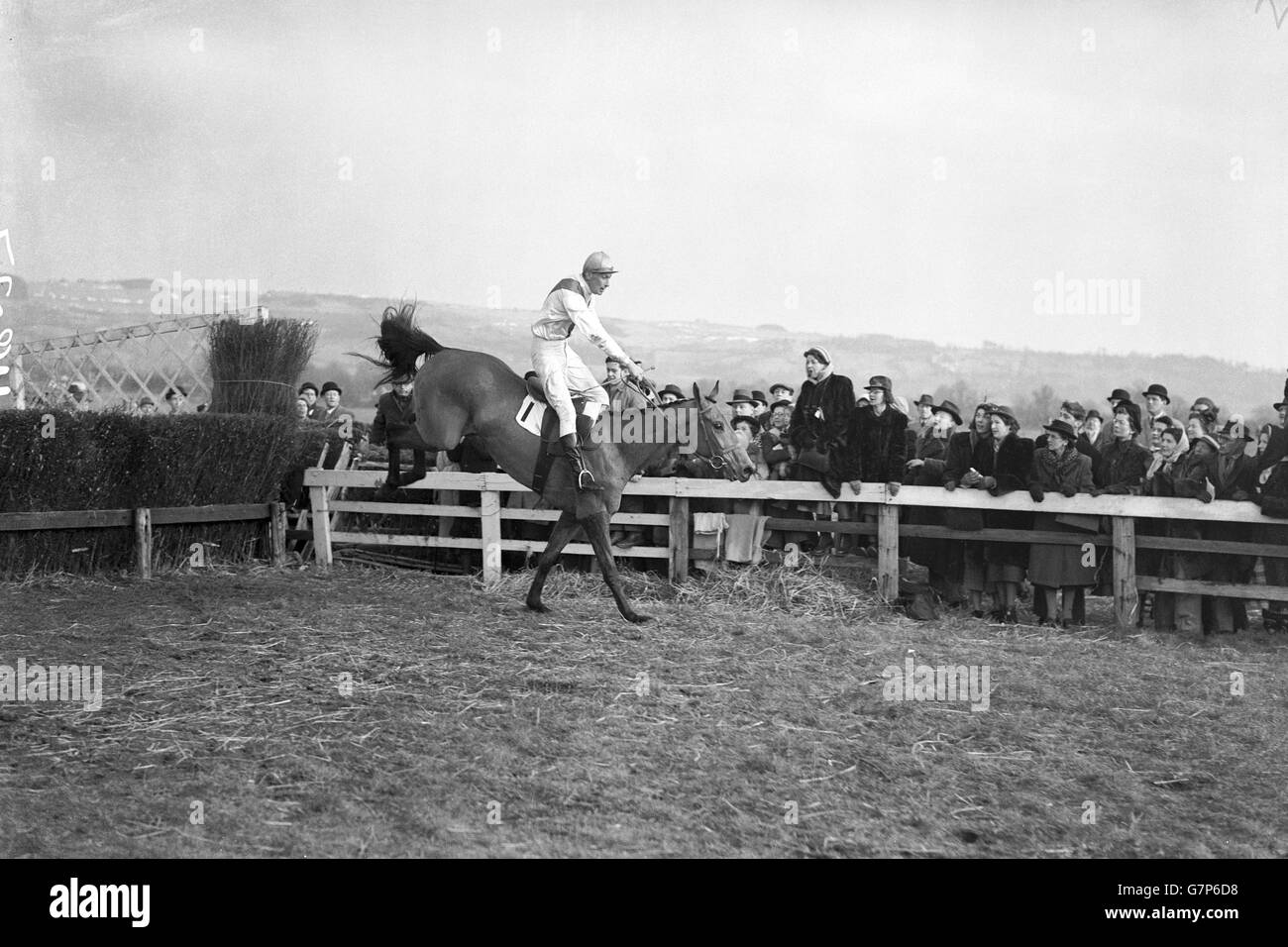 Going to hunt Black and White Stock Photos & Images - Alamy