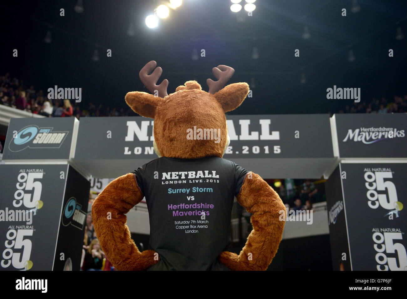 Surrey mascot before game hi-res stock photography and images - Alamy