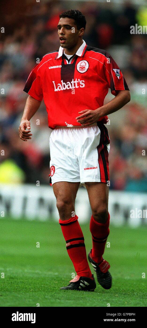 Van hooijdonk forest hi-res stock photography and images - Alamy