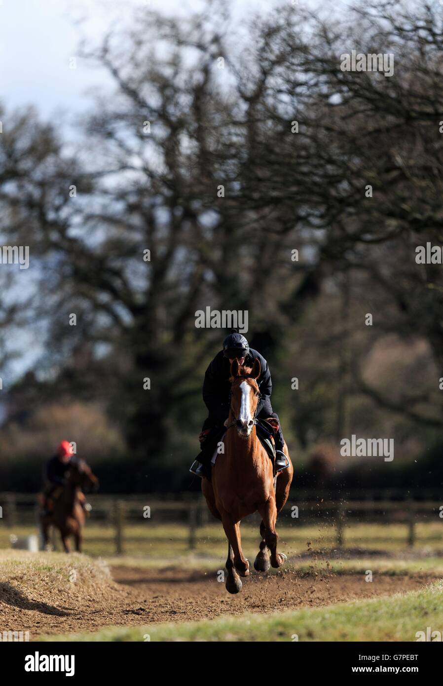 Horse racing gary moore stable visit cisswood racing stables hi-res ...