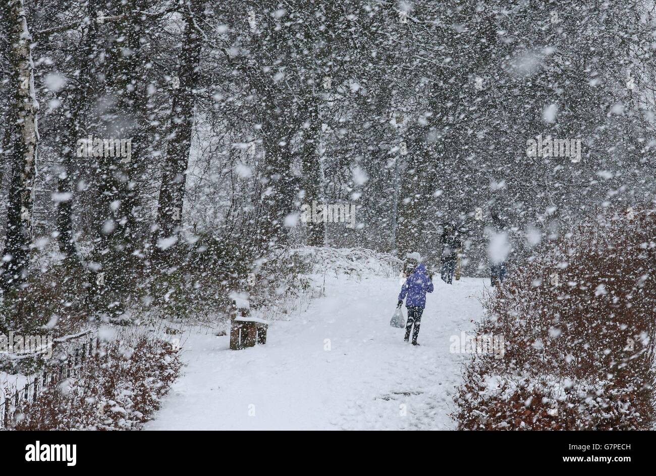 Winter weather March 3rd 2015 Stock Photo - Alamy