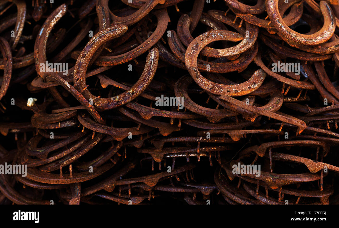 Horse racing gary moore stable visit cisswood racing stables hi-res ...