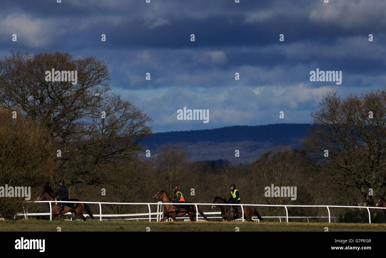 Gary moore stable visit hi-res stock photography and images - Alamy