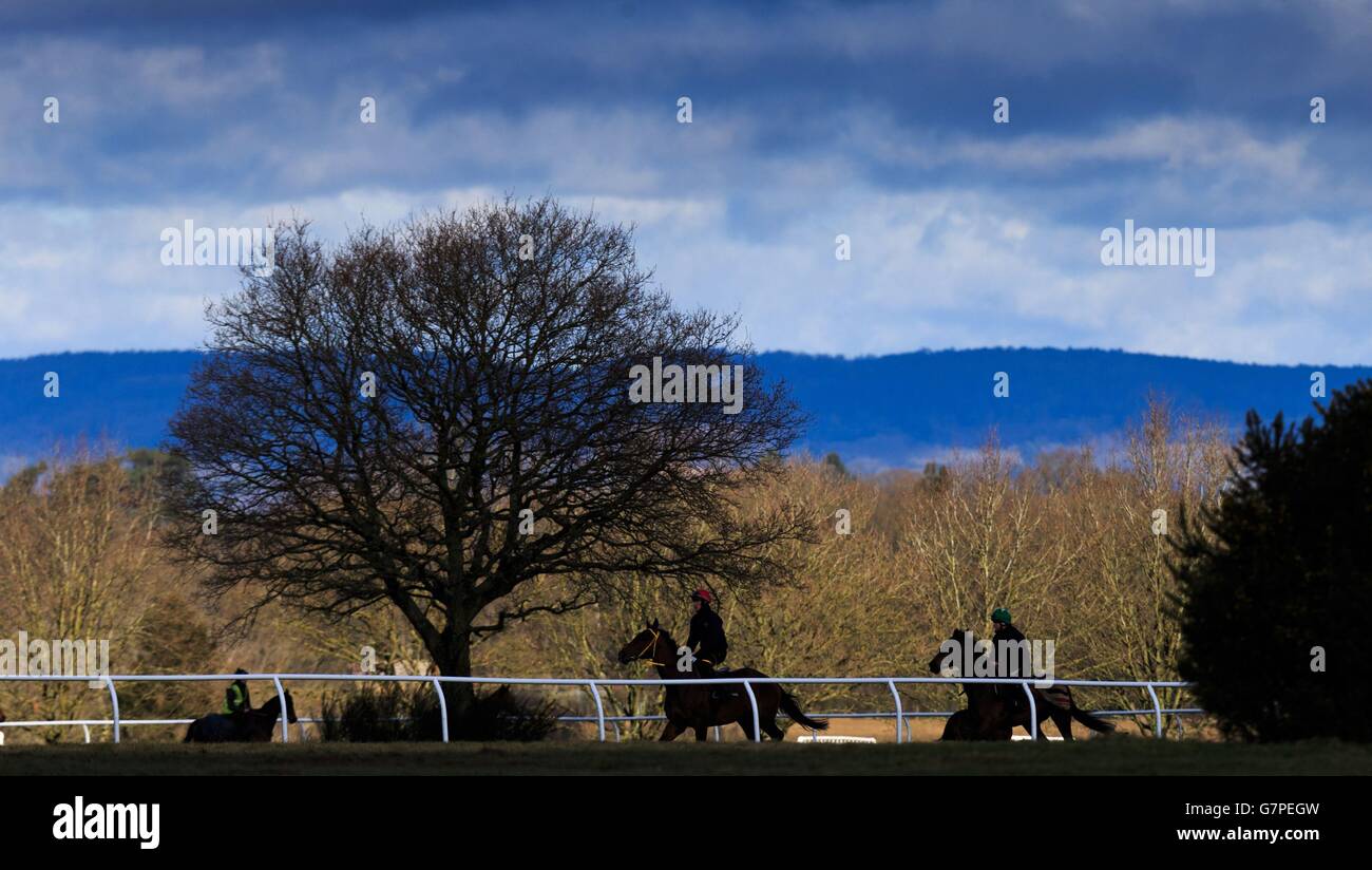 Horses from trainer Gary Moore's yard exercise during the visit to ...