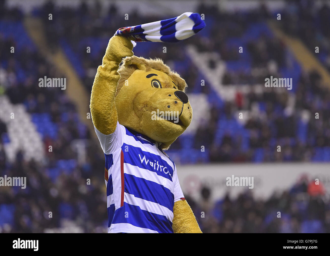 Brighton and hove albion mascot hi-res stock photography and images - Alamy