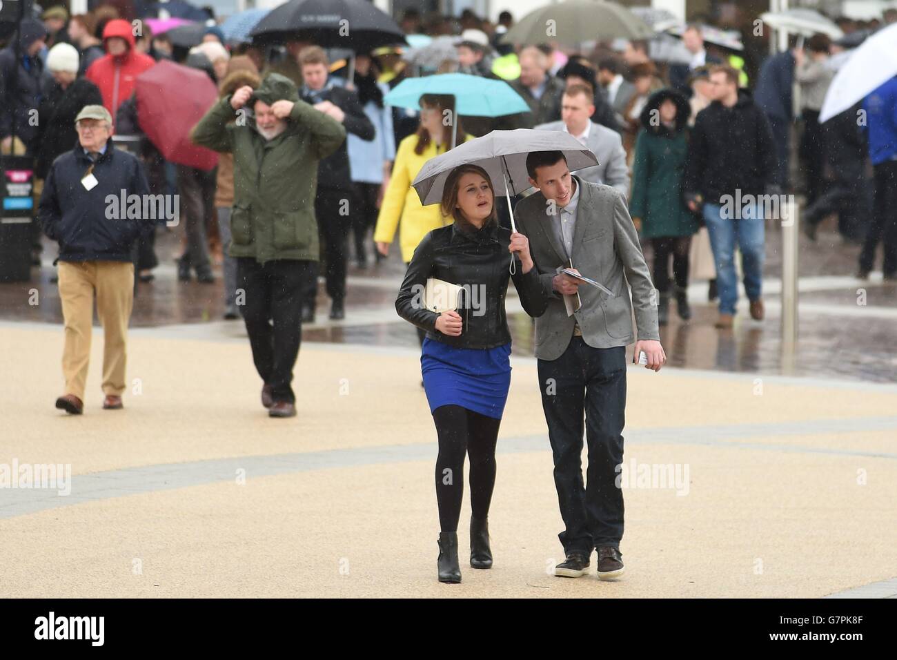 Horse Racing - 2015 Cheltenham Festival - Gold Cup Day - Cheltenham ...