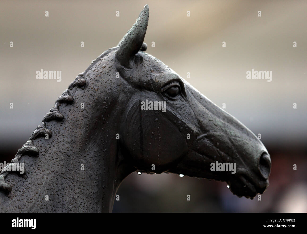 Arkle statue hi-res stock photography and images - Alamy