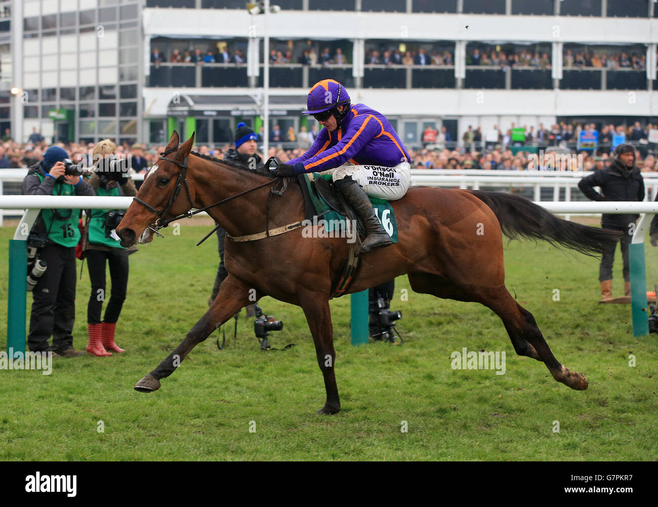 Horse wicklow brave hi-res stock photography and images - Alamy