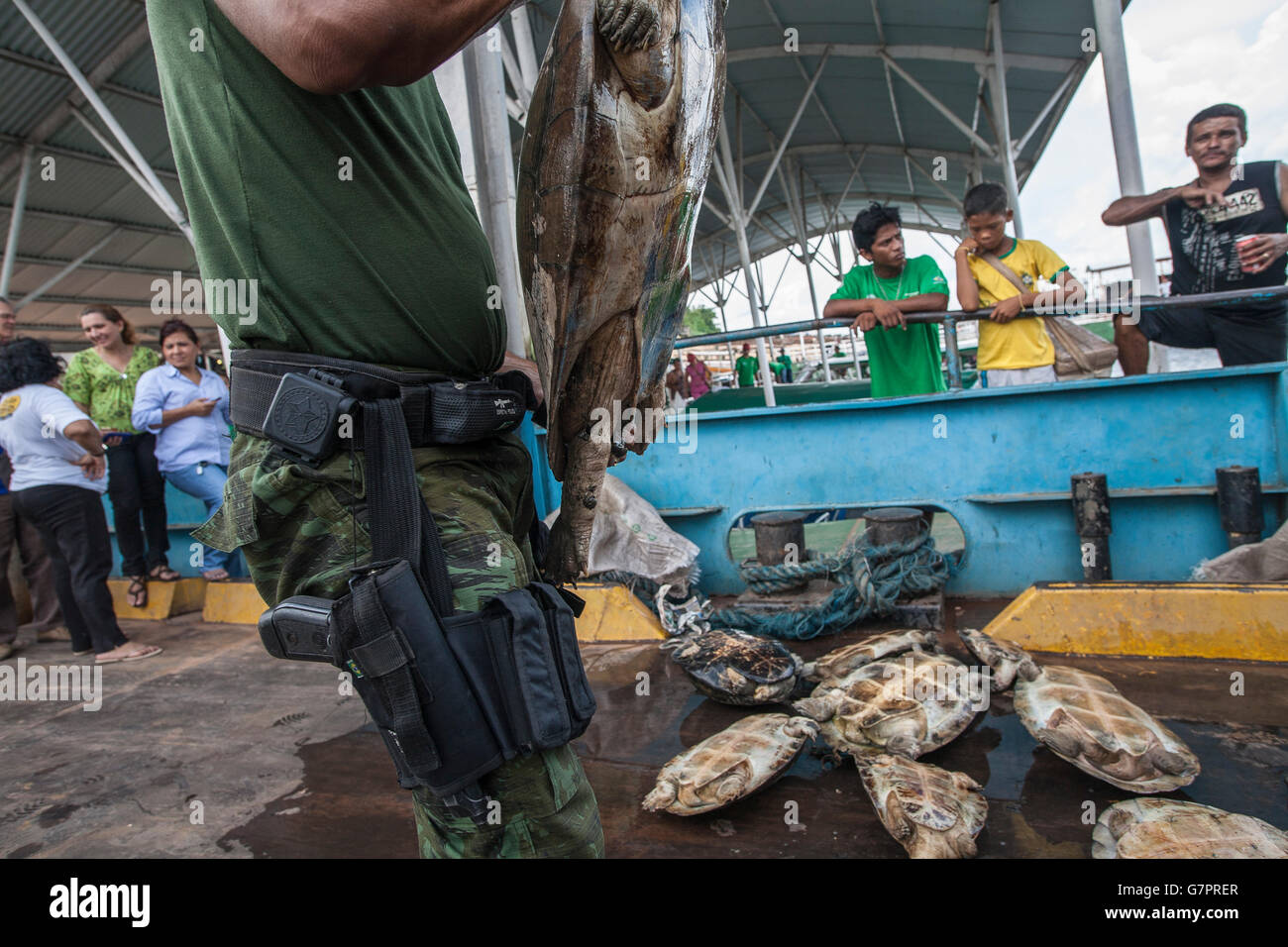 Environmental crime turtle hi-res stock photography and images - Alamy