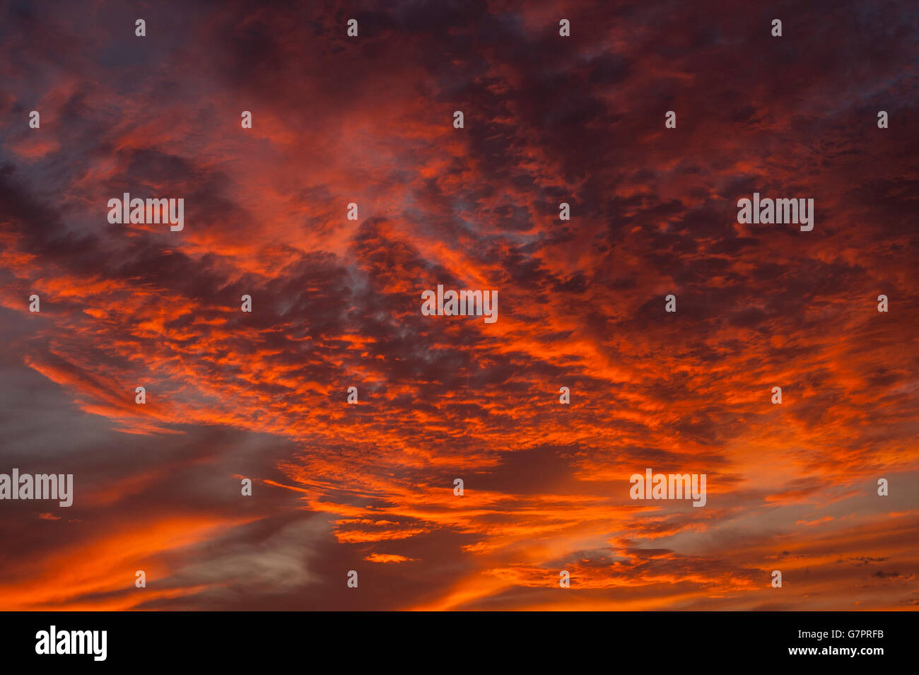 Cirrocumulus clouds at sunset with spectacular light and color Stock ...