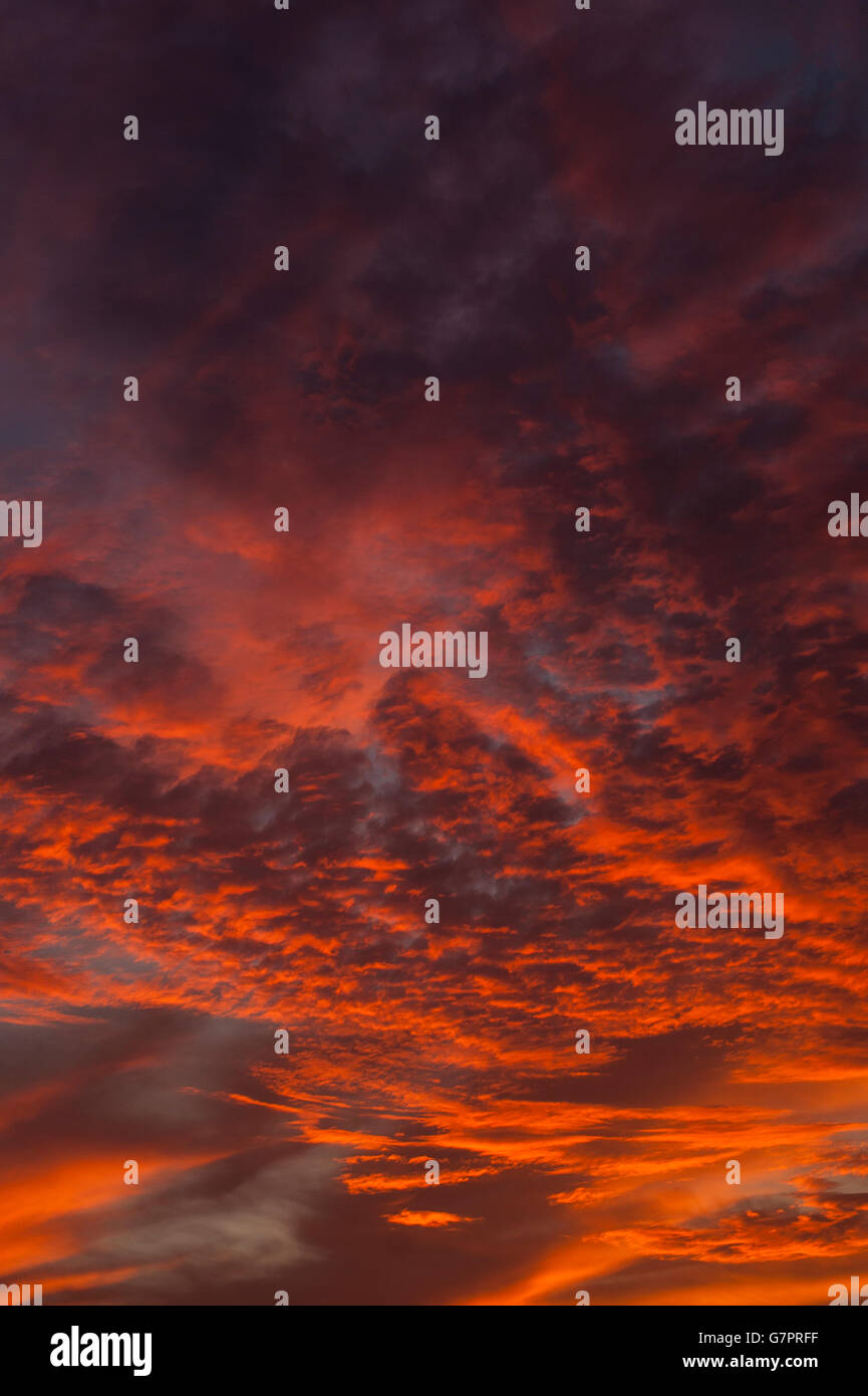 Cirrocumulus clouds at sunset with spectacular light and color Stock ...