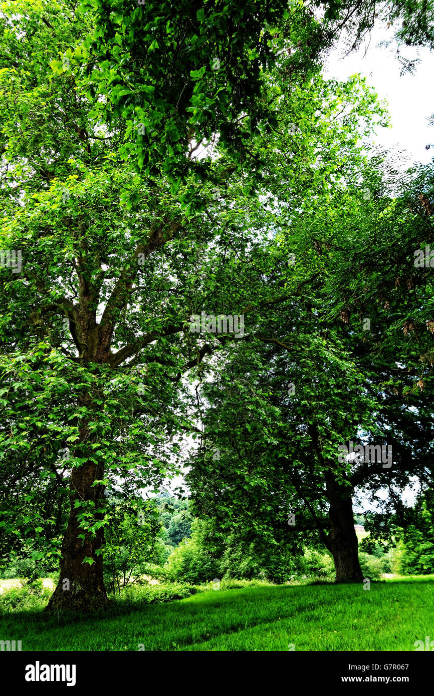 The Herefordshire landscape was painted by Brian Hatton now relived by ...