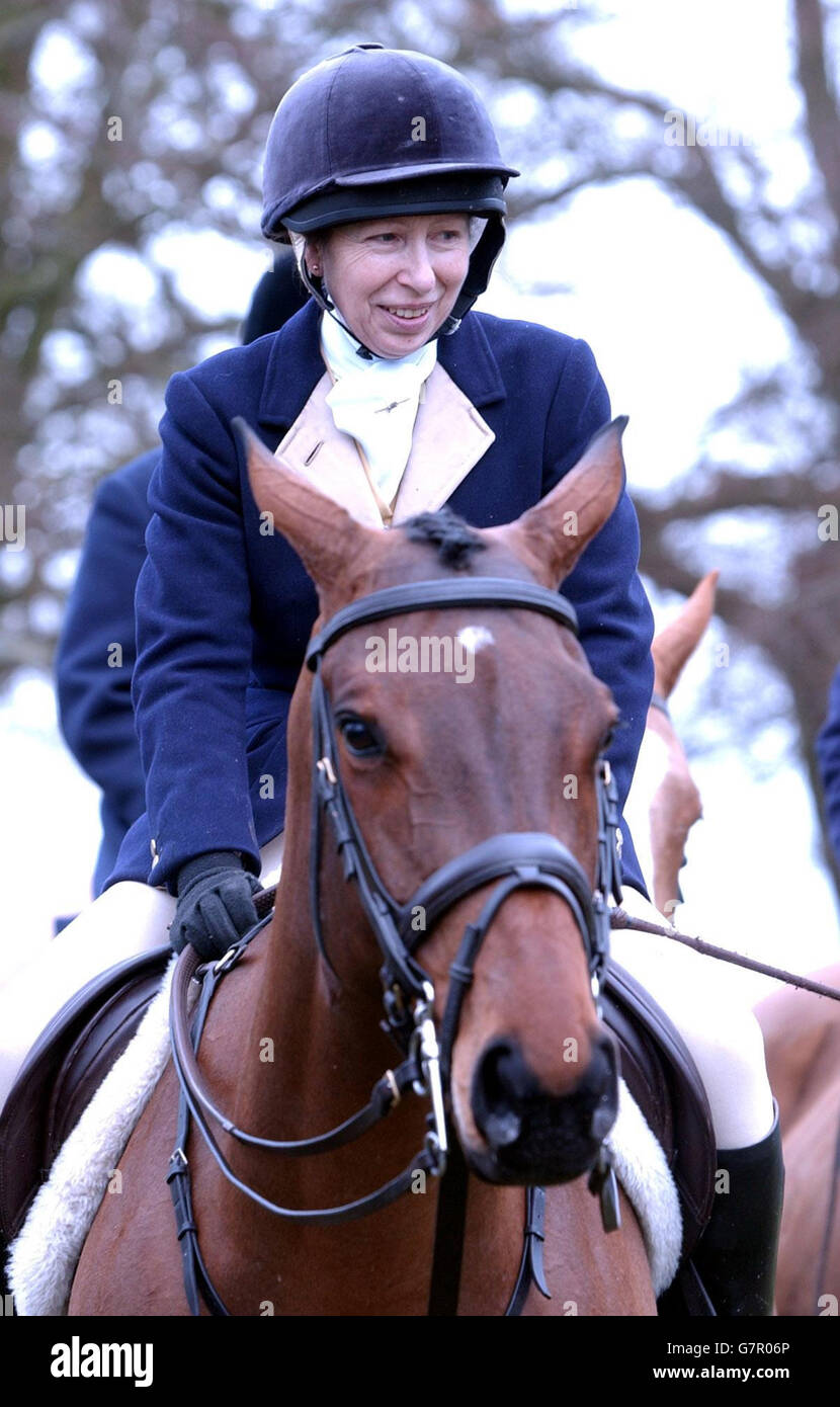 The Princess Royal hunting Stock Photo - Alamy