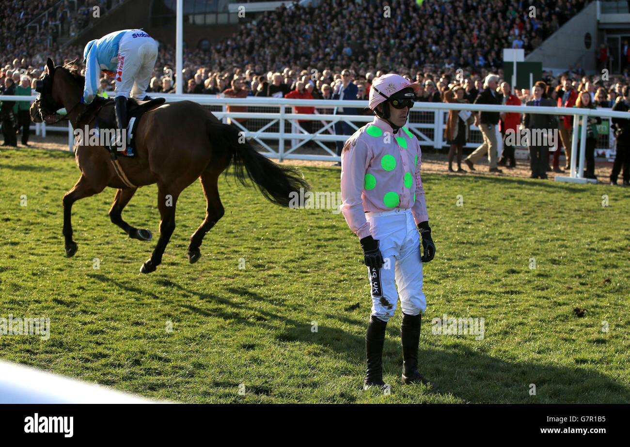 Ruby Walsh after falling off Annie Power on the last fence during the ...