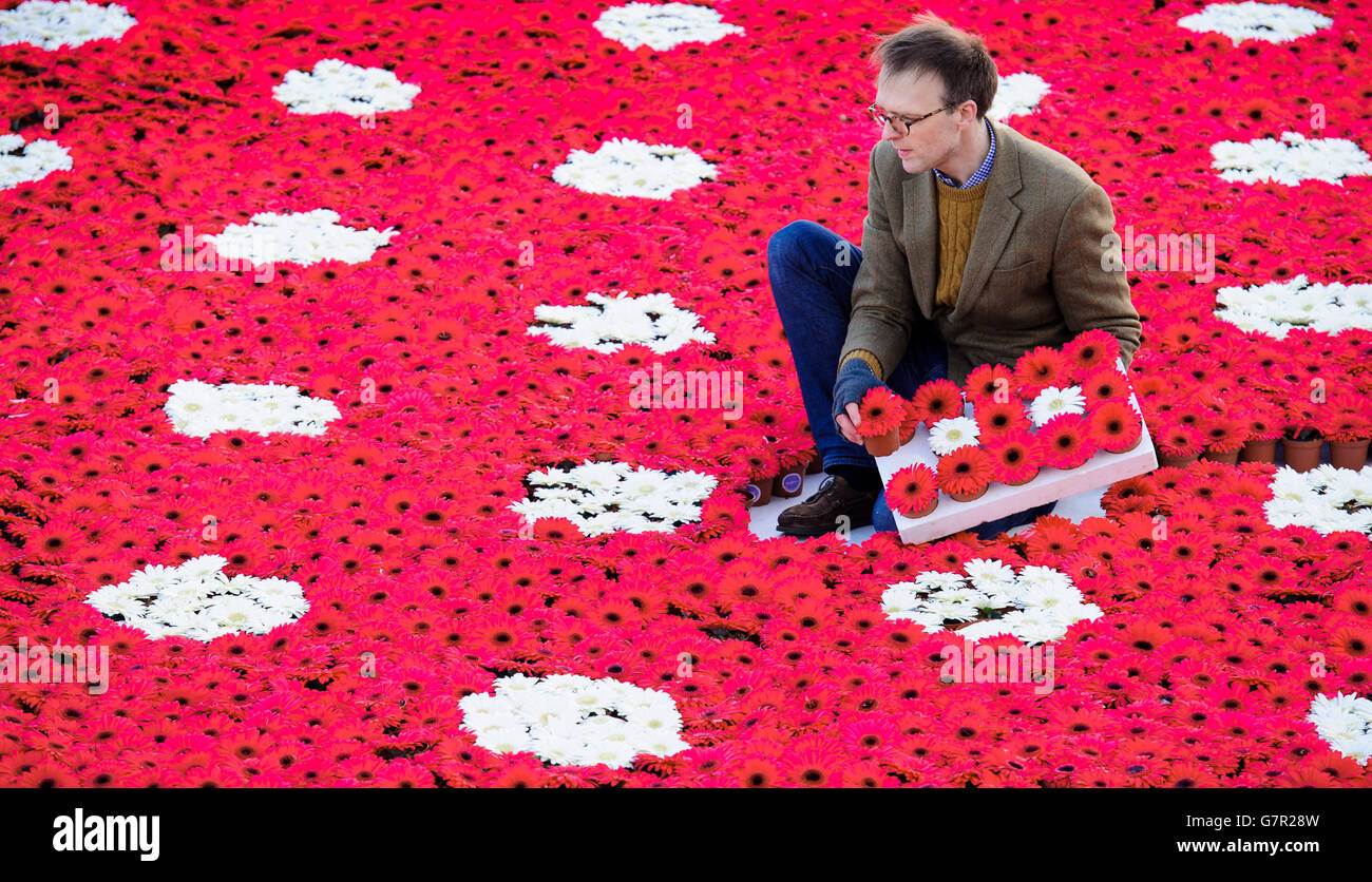 Floral artist, Chris Naylor, puts the finishing touches to the Cath ...