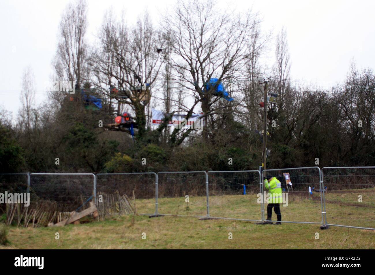 Reppic tree trees hi-res stock photography and images - Alamy