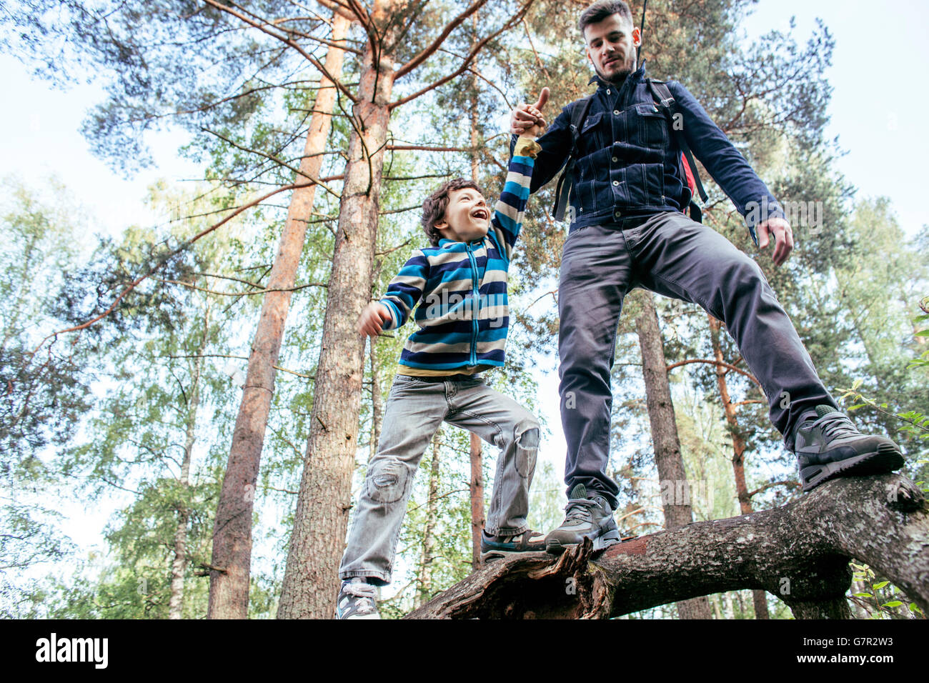 little son with father climbing on tree together in forest, lifestyle ...