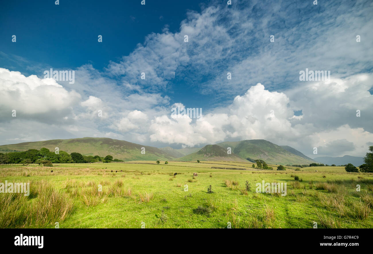 Cumbrian hills hi-res stock photography and images - Alamy