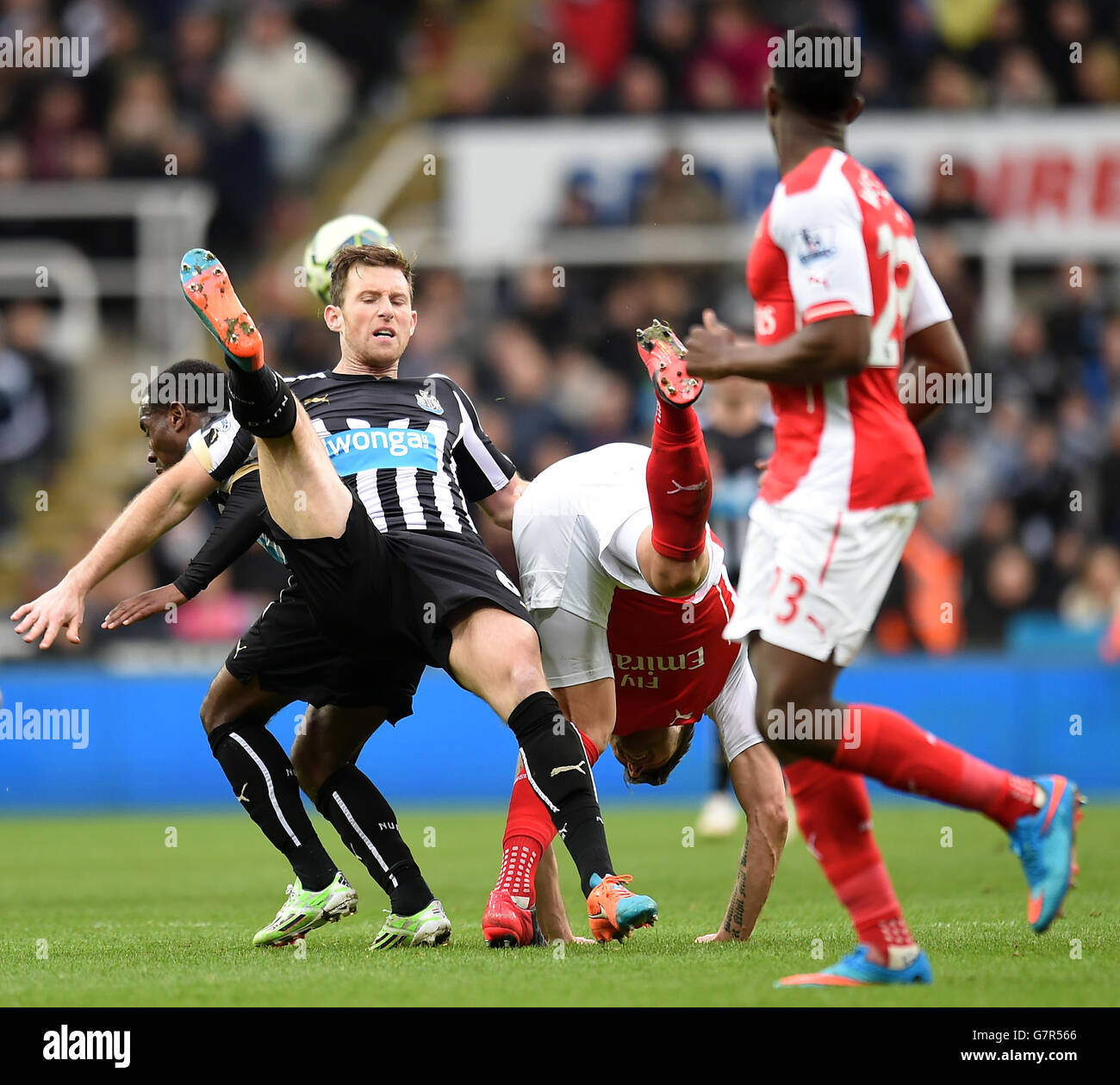 Newcastle United's Michael Williamson (left) and Arsenal's Olivier ...