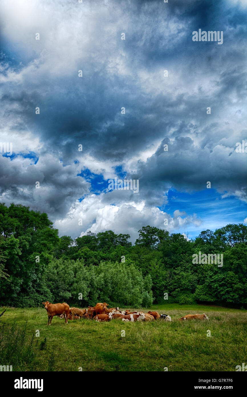 The Herefordshire landscape was painted by Brian Hatton now relived by ...