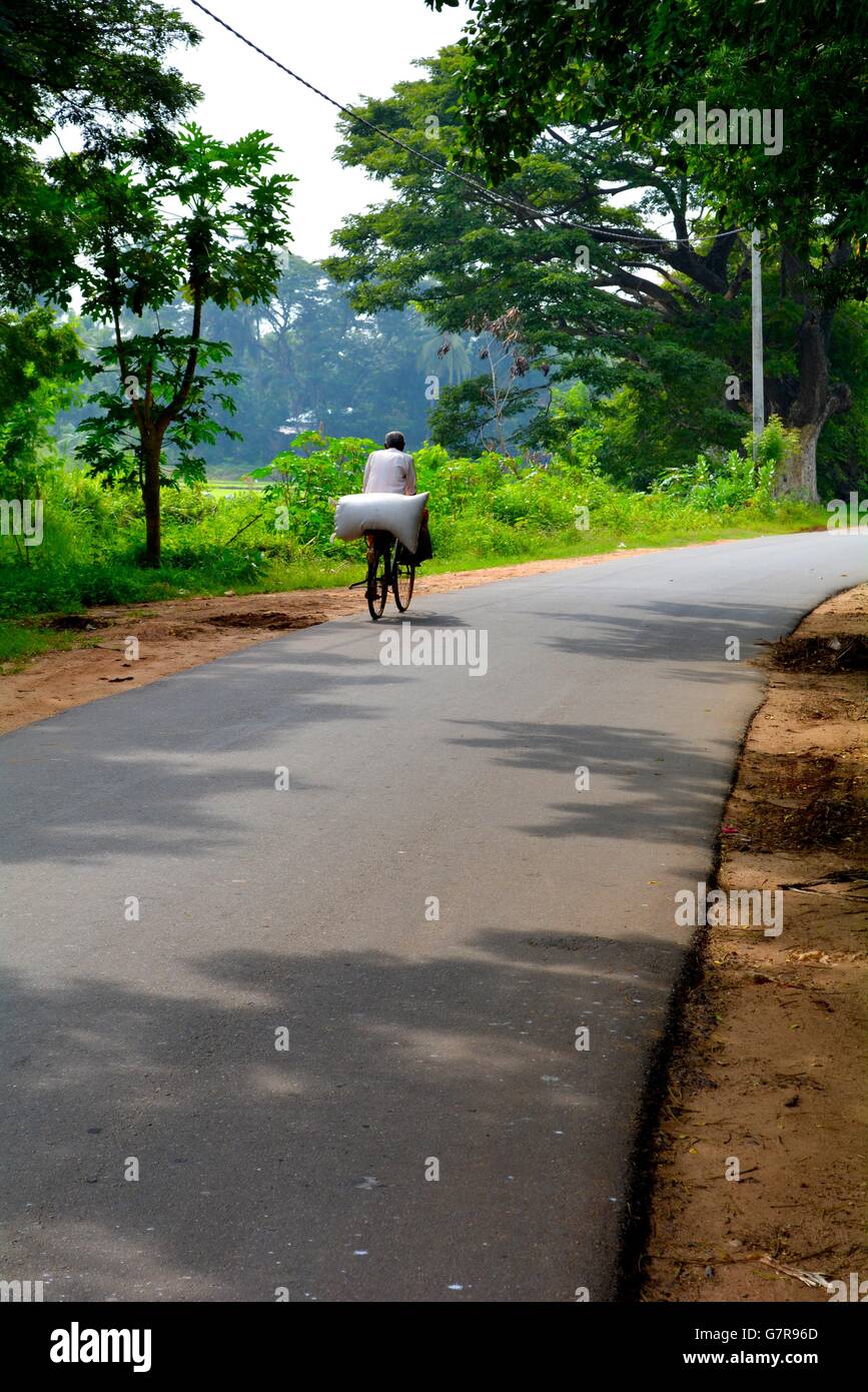 A local man riding a bicycle in Tissamaharama, Sri Lanka Stock Photo ...