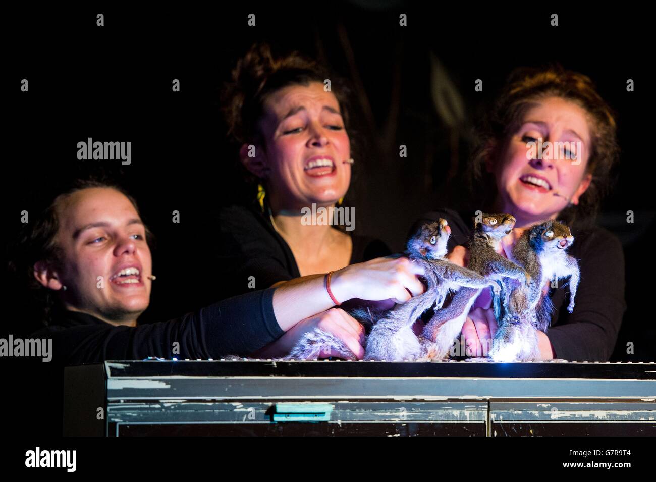 (Left to right) Matthew McGuire, Charlie Tuesday Gates and Madeleine ...