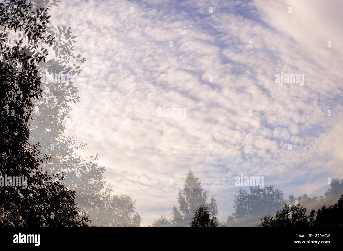 Summer landscape, abstract background Stock Photo - Alamy