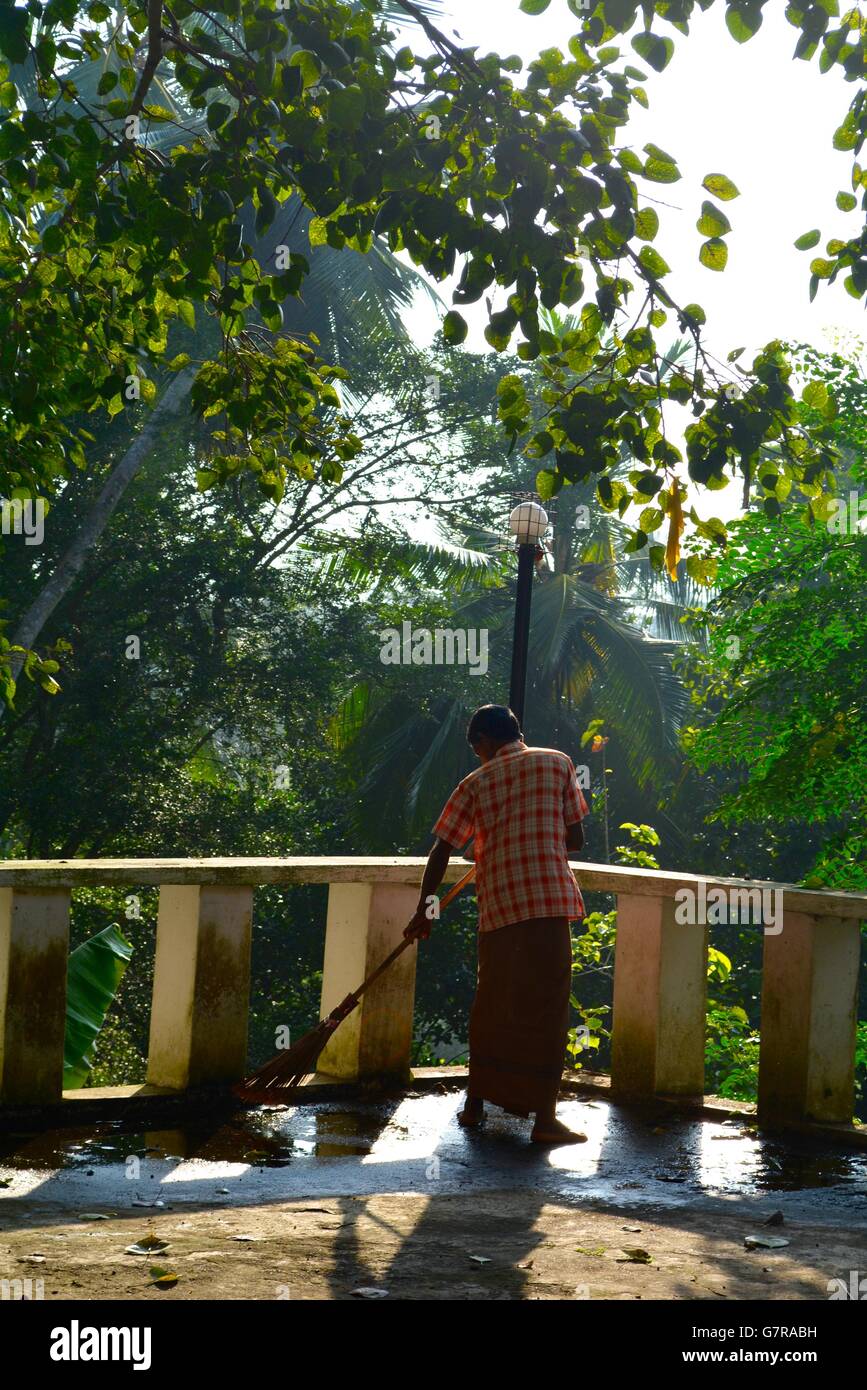 A man sweeping up leaves at Mulkirigala, Sri Lanka Stock Photo - Alamy