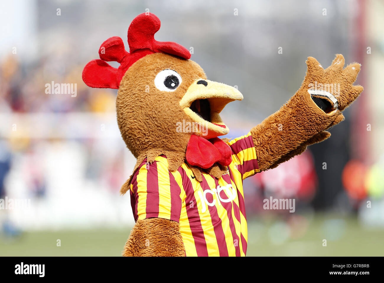Bradford city mascot hi-res stock photography and images - Alamy