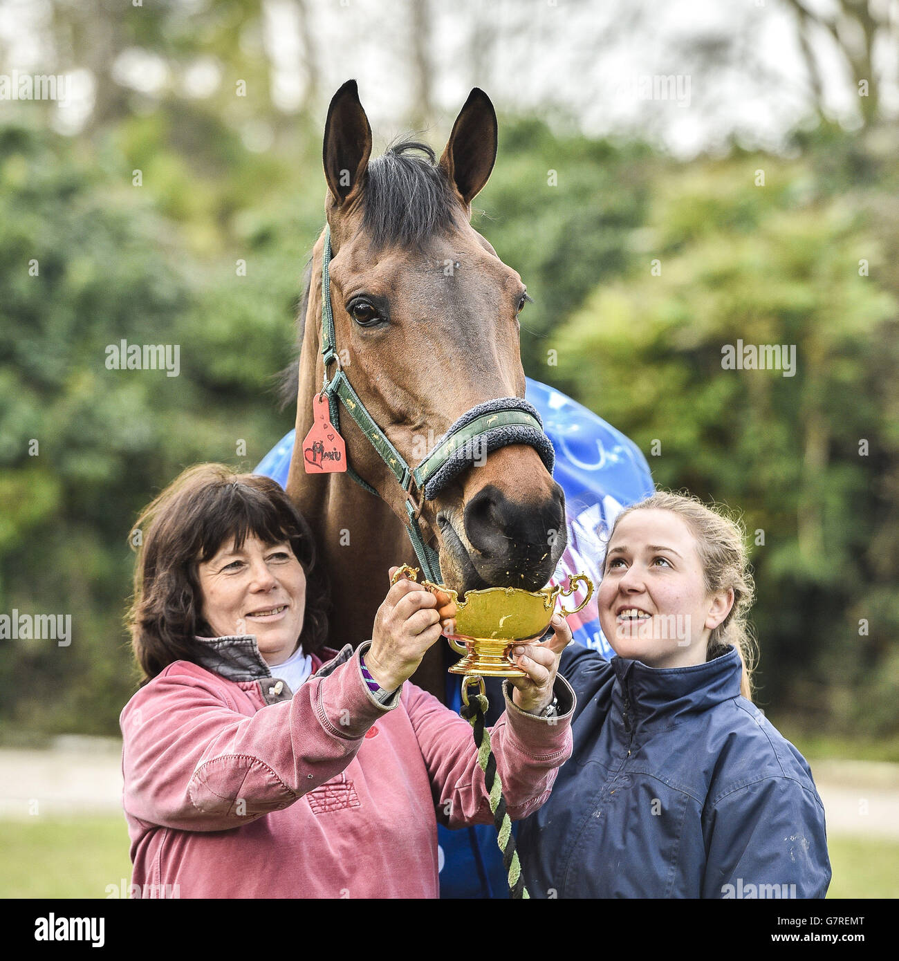 Cheltenham gold cup trophy hi-res stock photography and images - Alamy