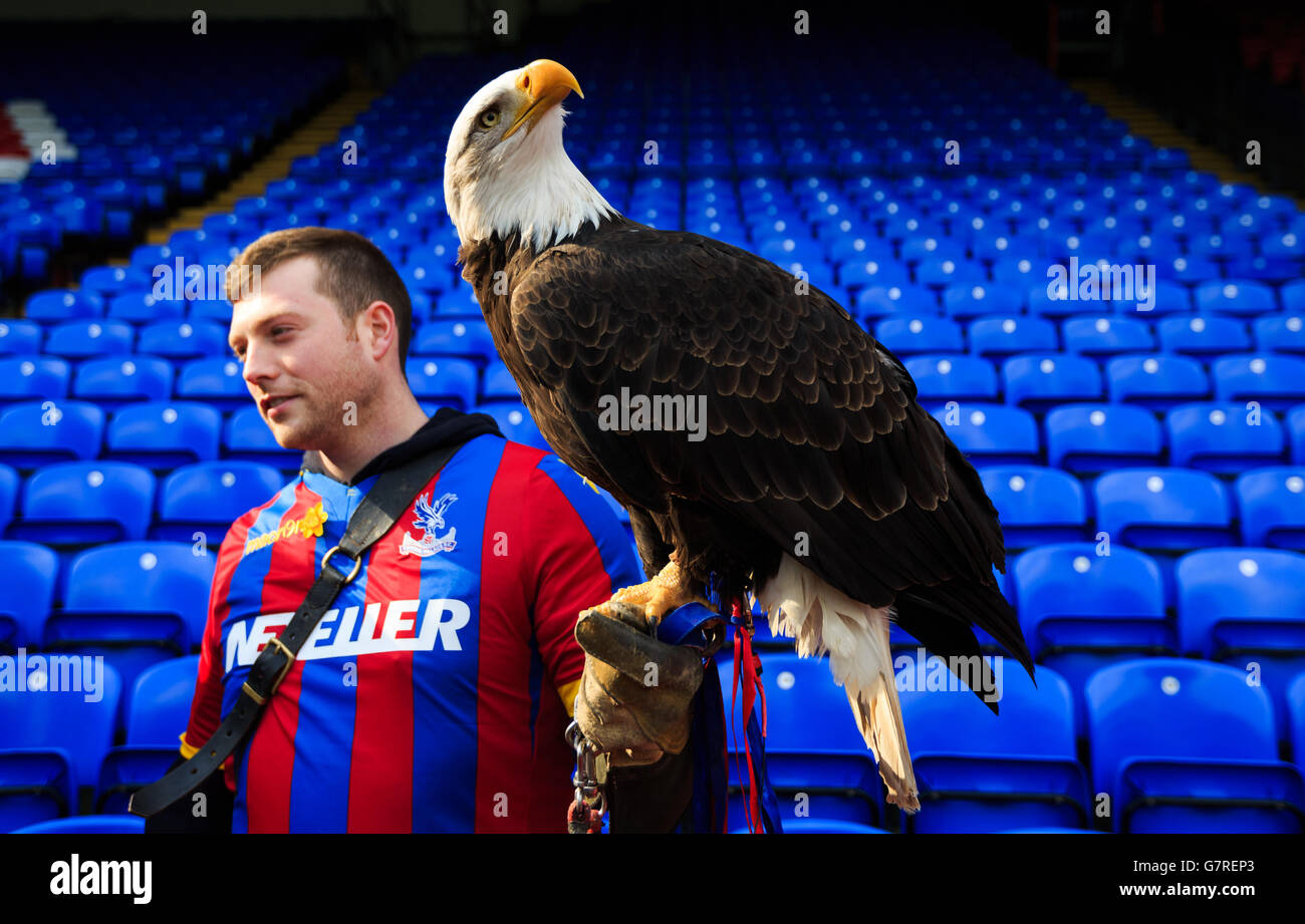 Kayla eagle hi-res stock photography and images - Alamy