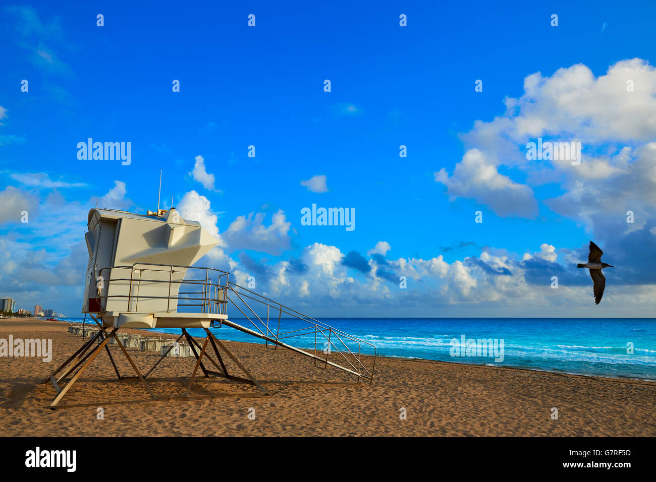 Fort Lauderdale beach morning sunrise in Florida USA baywatch tower ...