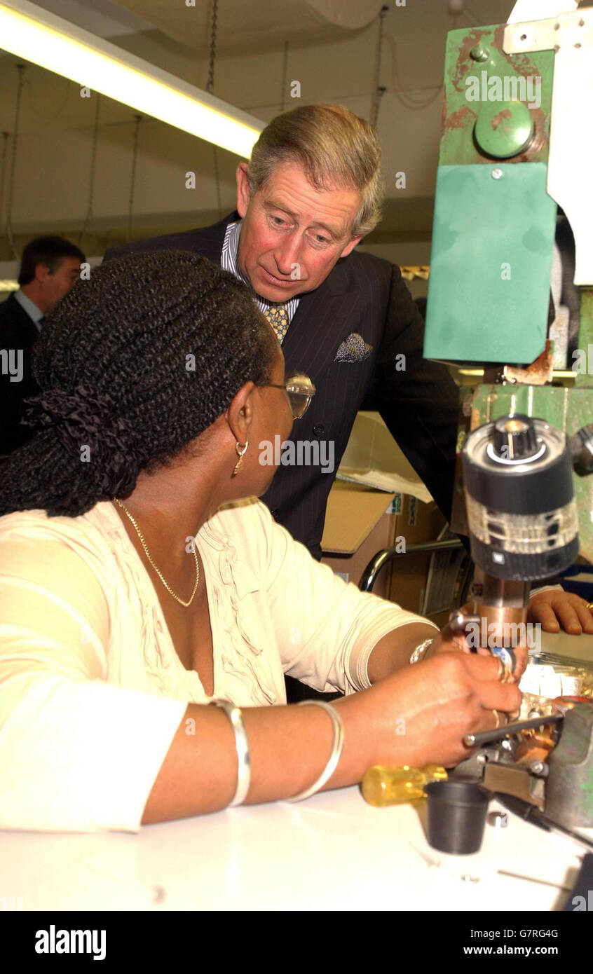 The Prince of Wales - Goldsmith's Hall Stock Photo - Alamy