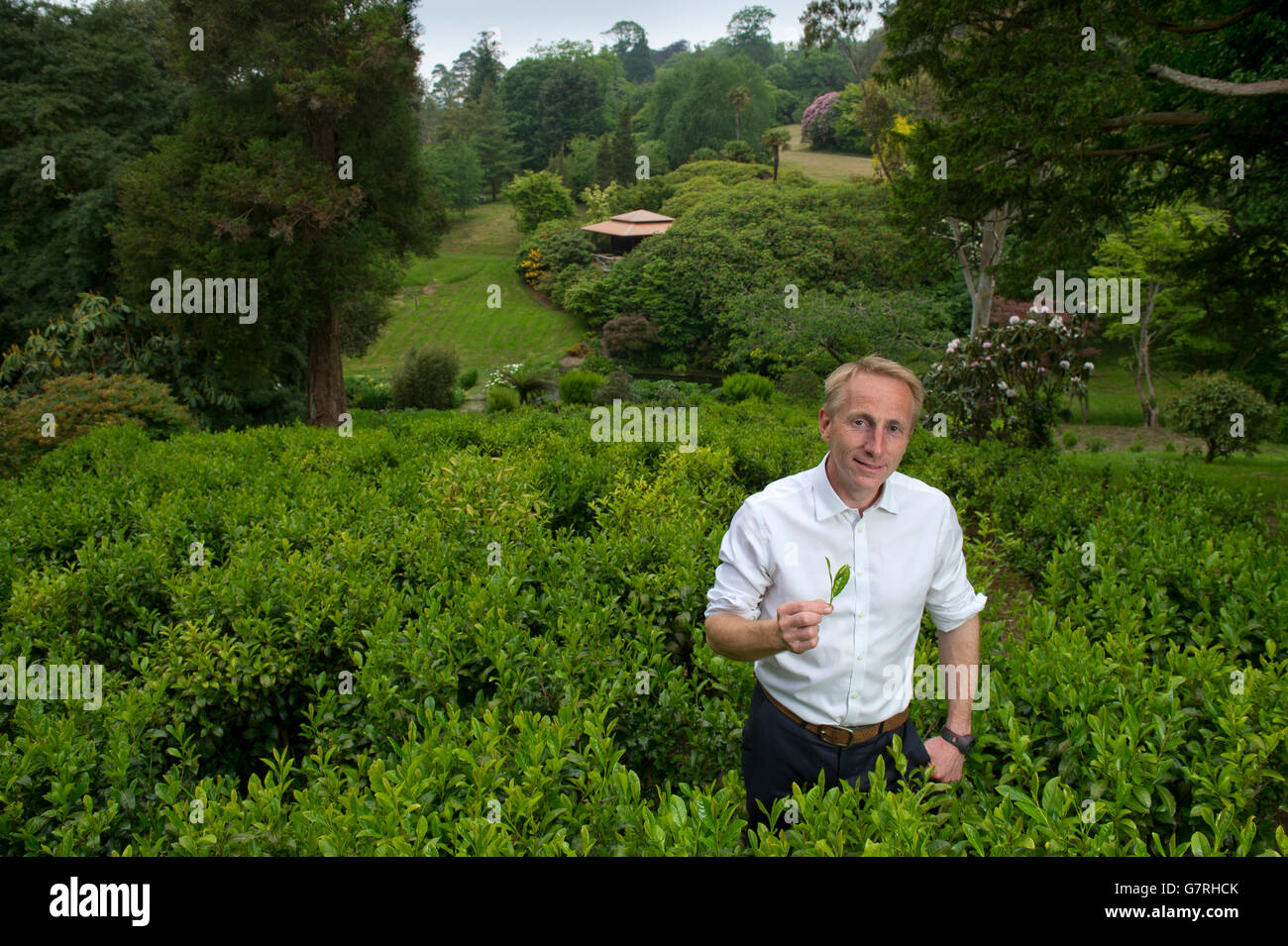 Tregothnan gardens hi-res stock photography and images - Alamy