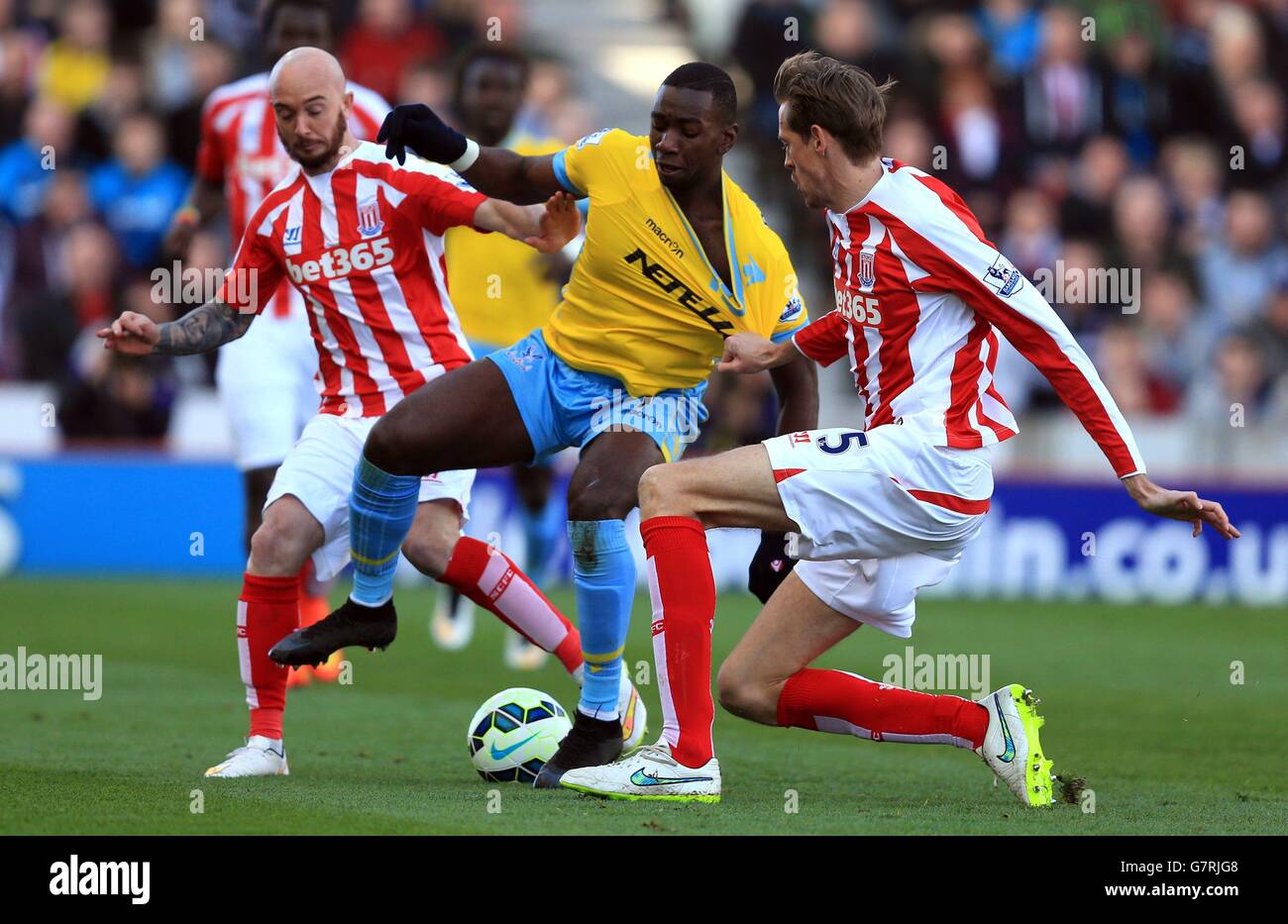 Stoke City's Stephen Ireland (left) and Peter Crouch and Crystal Palace ...
