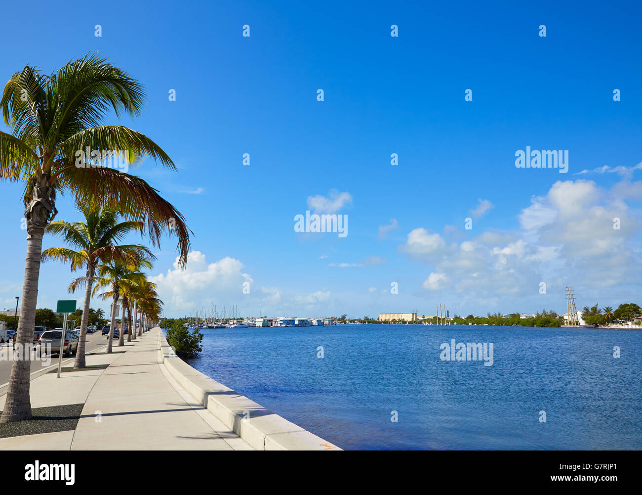 Key West Florida marina in Garrison Bight of Florida USA Stock Photo ...