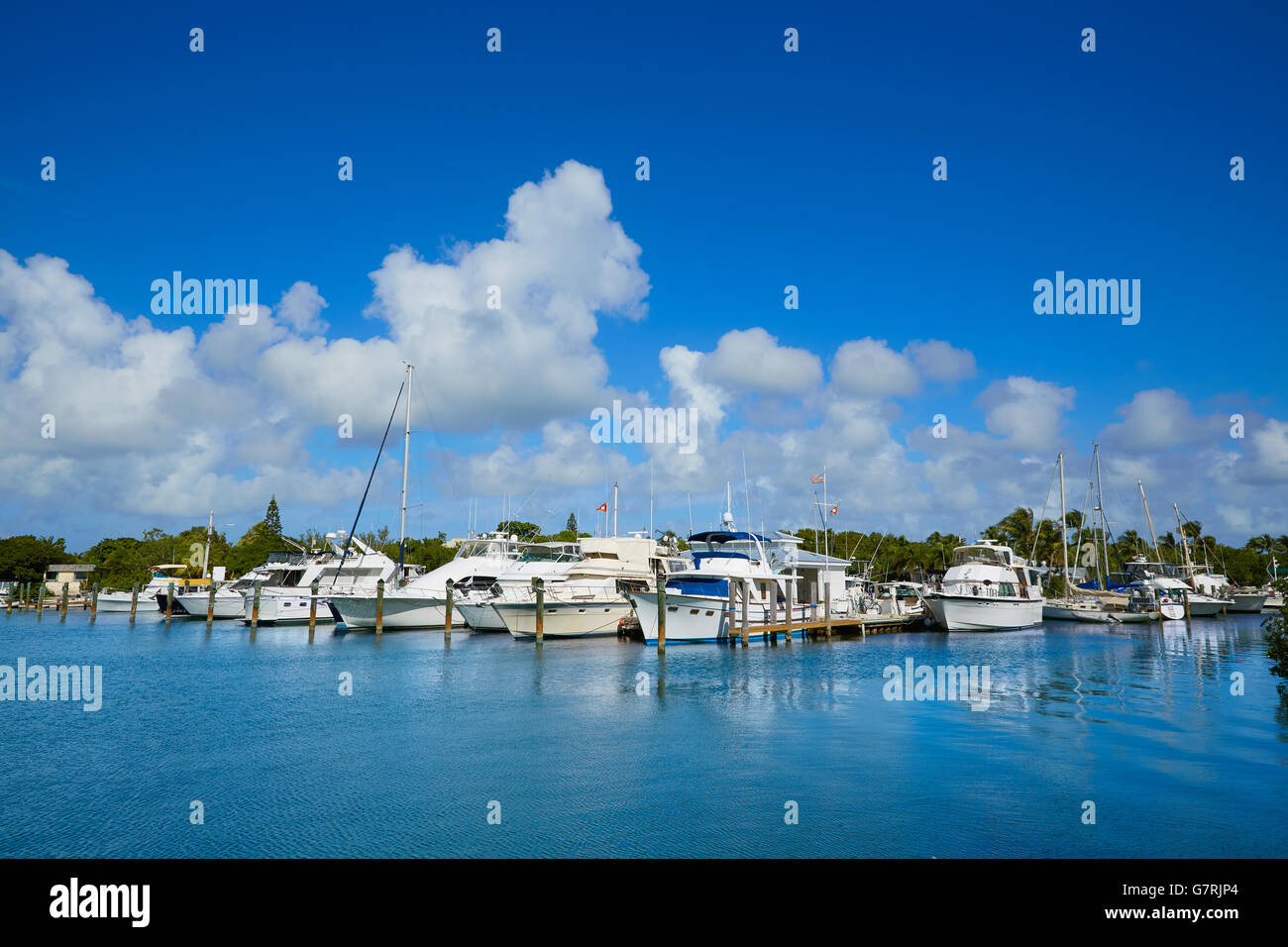 Key West Florida marina in Garrison Bight of Florida USA Stock Photo ...