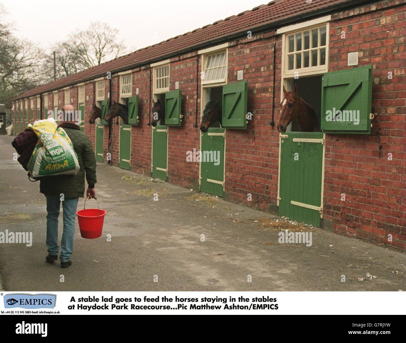 Horses staying haydock park stables after grand national terrorist ...