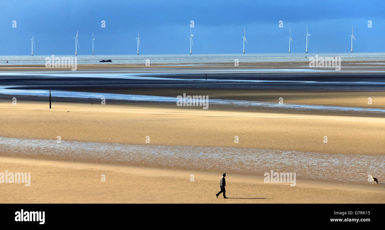 Formby beach dog hi-res stock photography and images - Alamy
