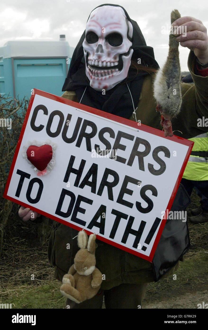 Hare Coursing - Waterloo Cup Stock Photo - Alamy