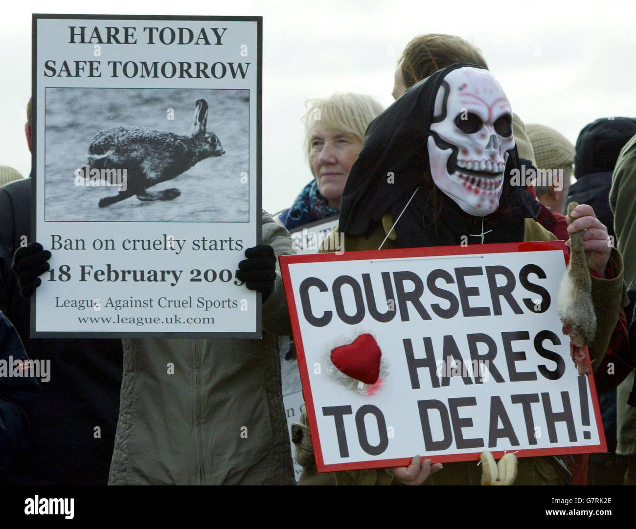 Hare Coursing - Waterloo Cup Stock Photo - Alamy