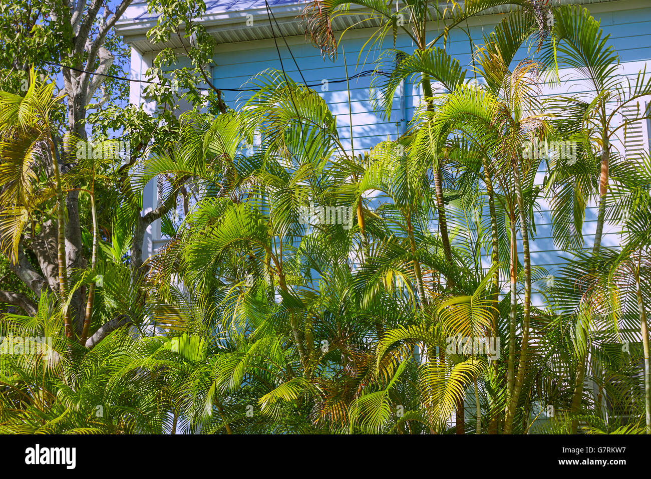 Blue house in key west hi-res stock photography and images - Alamy