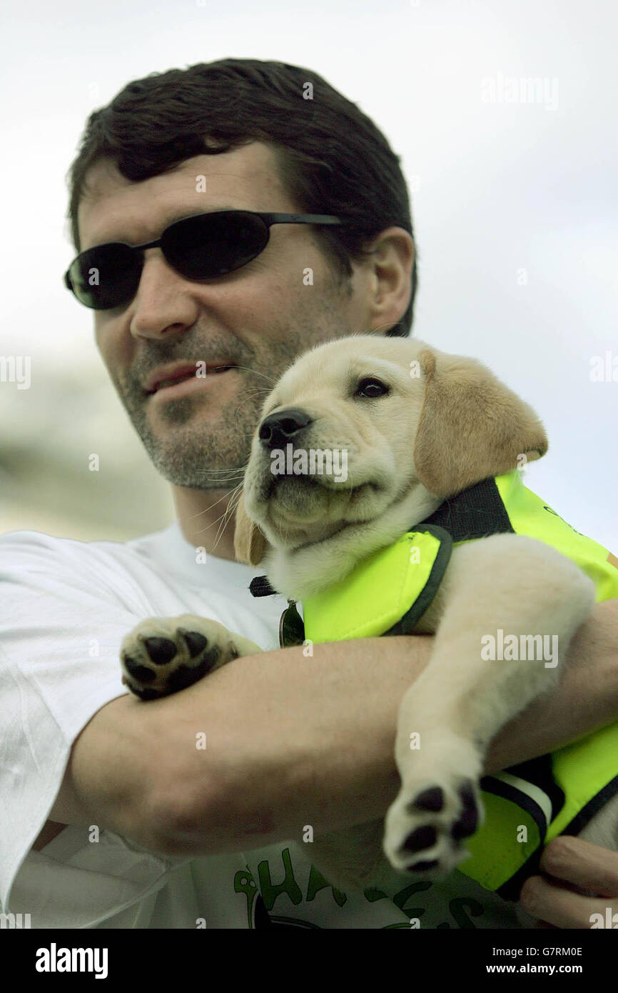 National Fundraising Irish Guide Dogs for the Blind (IGDB) 'SHADES 2005 ...