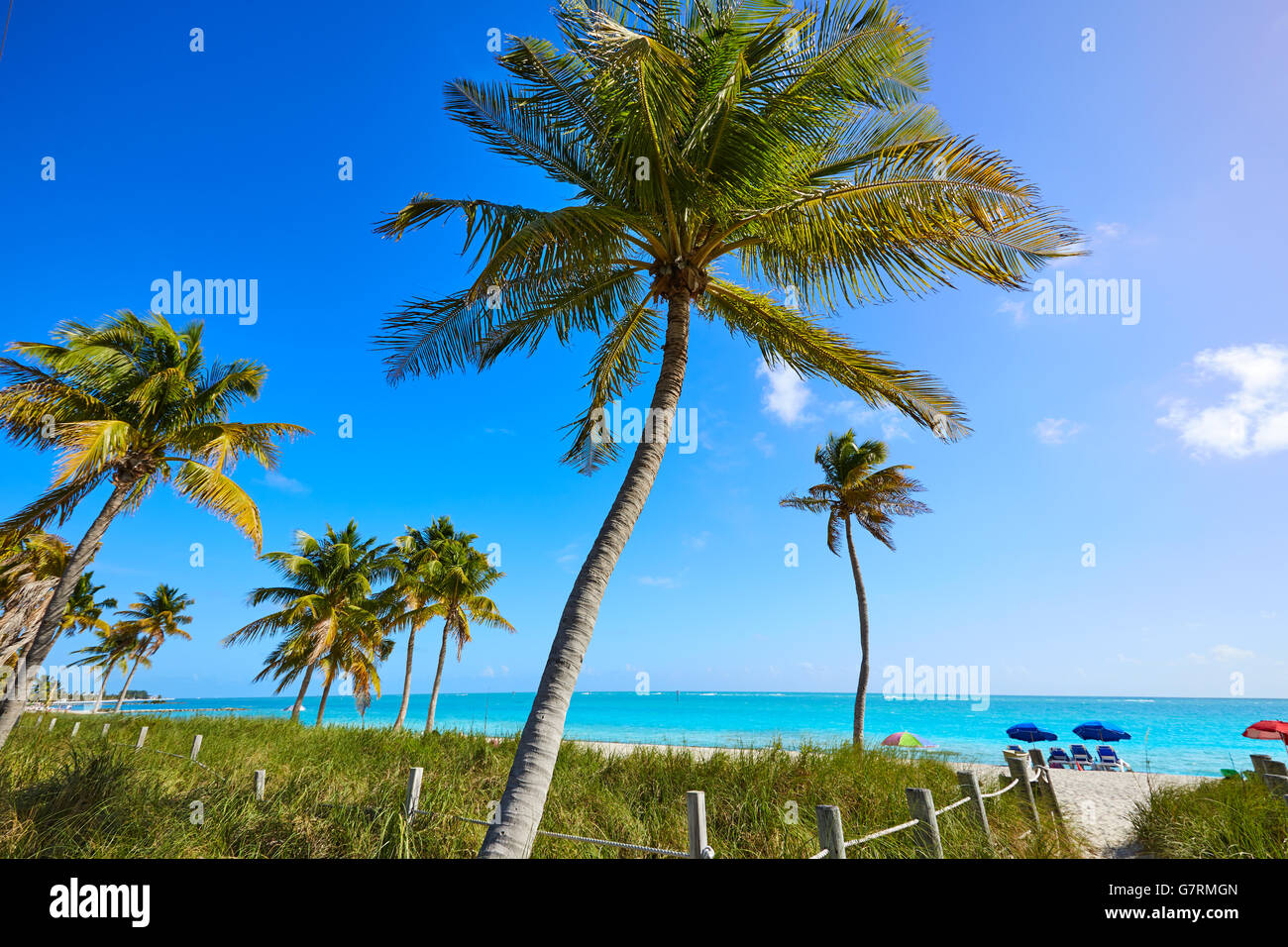 Key west florida Smathers beach palm trees in USA Stock Photo - Alamy
