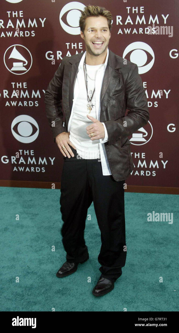 47th Annual Grammy Awards - Staples Center - Los Angeles Stock Photo ...