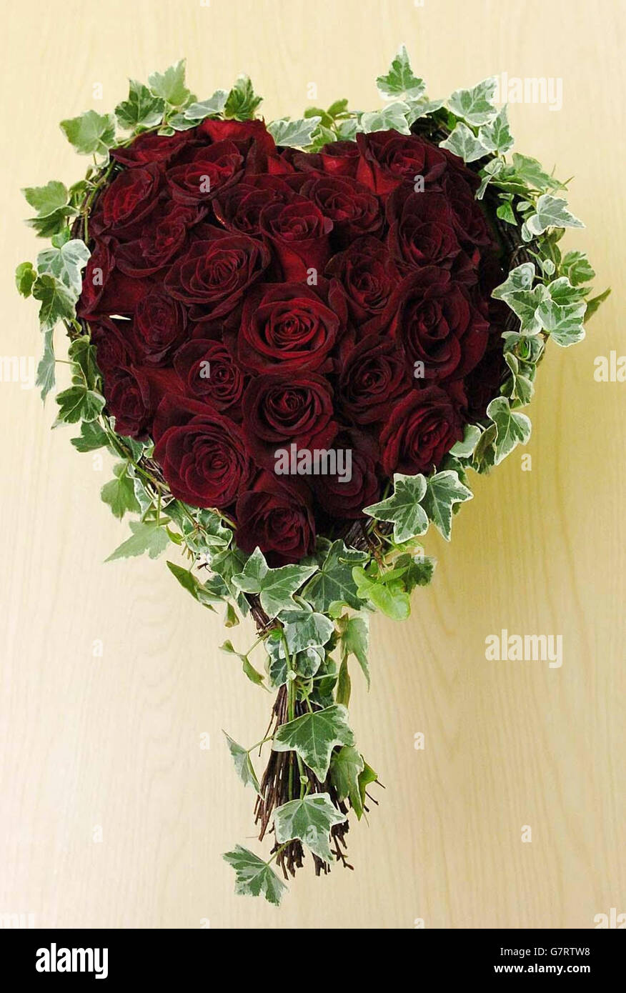 A posy of 30 black Bacara roses which were presented to Prince Charles during his visit to ...