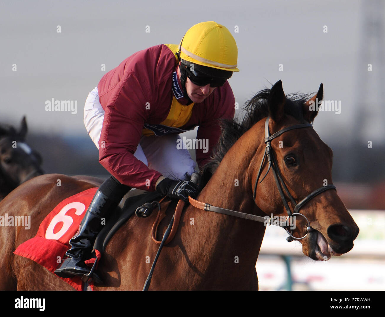 What Asham ridden by Graham Gibbons crosses the line to win the 32Red ...