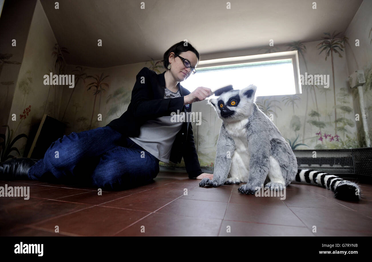 Brushes representation of mah jongg the pet lemur of virgina courtauld ...